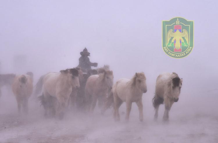 ФОТО Хилчид цасан шуурганд уруудан хил давах шахсан 1000 гаруй малыг эздэд нь хүлээлгэн өгчээ