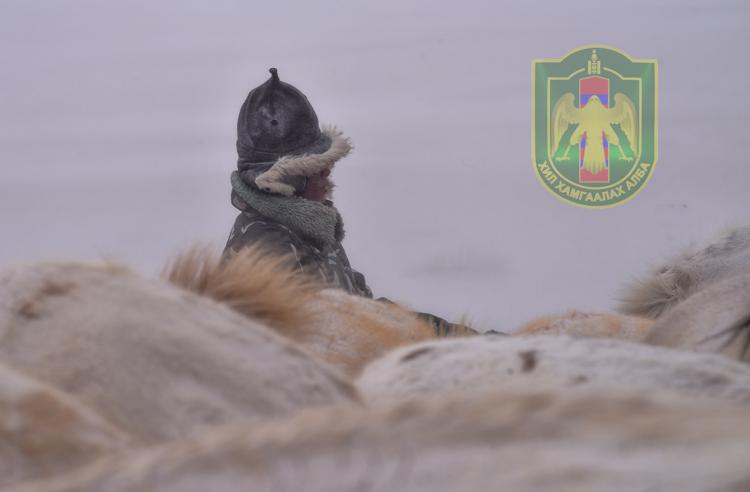 ФОТО Хилчид цасан шуурганд уруудан хил давах шахсан 1000 гаруй малыг эздэд нь хүлээлгэн өгчээ