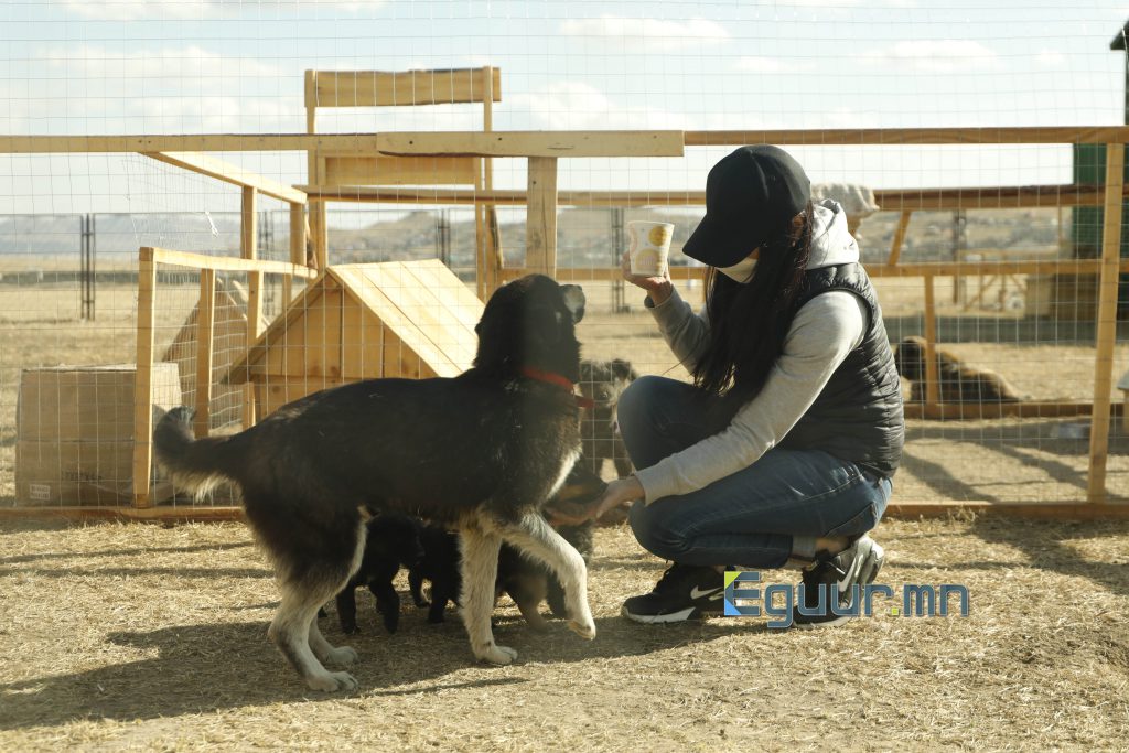 Б Энхбаяр Тэжээвэр амьтны хуулийг дэмжинэ Eguur Mn