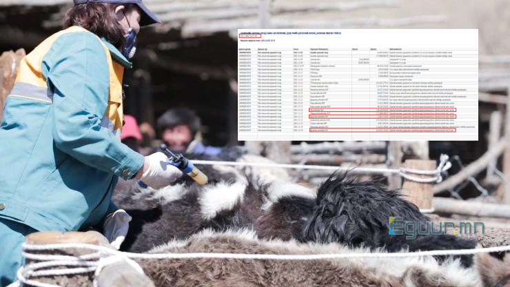 ДАТА: Аймгуудад шүлхийн вакцины төсвийг харьцангуй байдлаар олгожээ - Eguur.MN