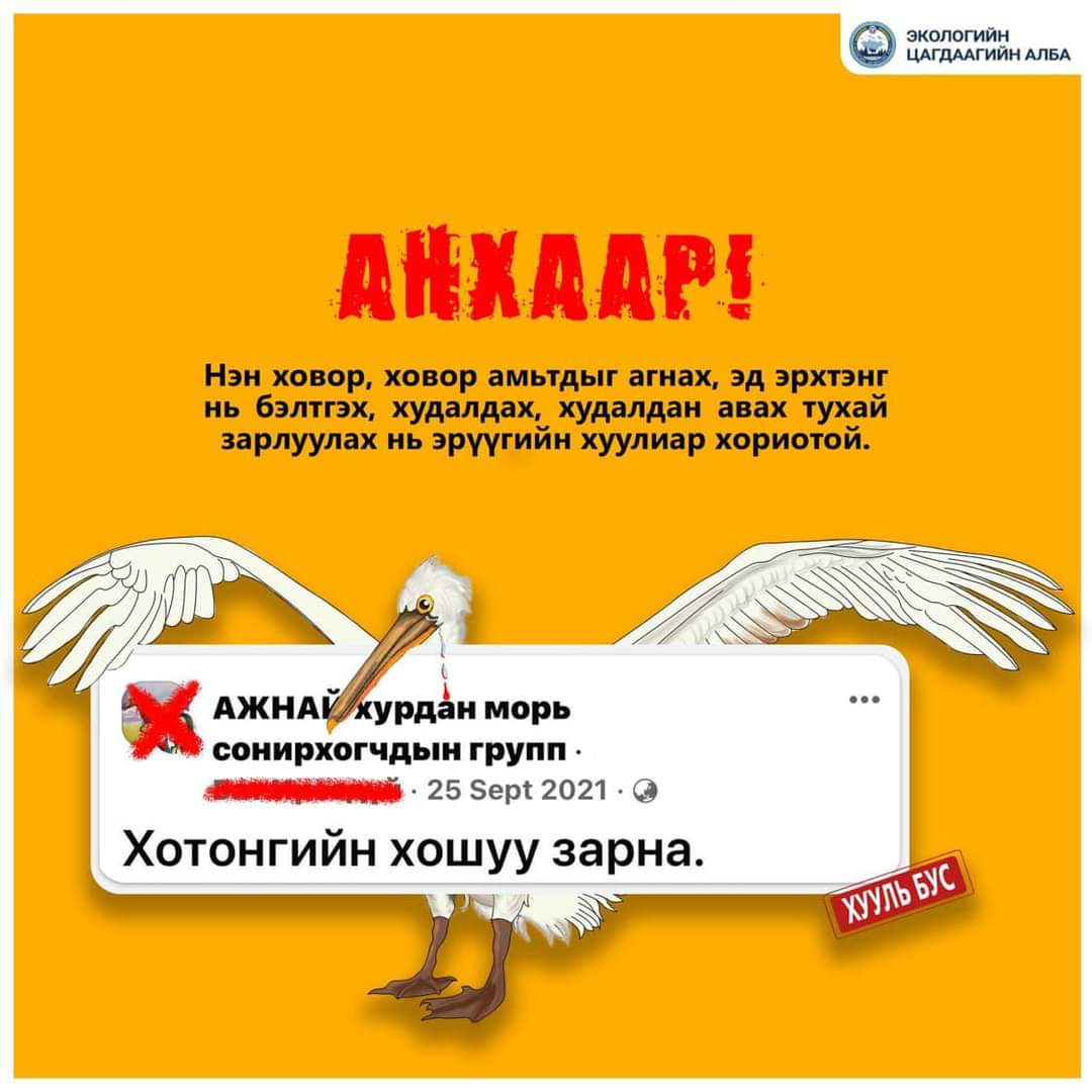 Зэрлэг амьтны эд эрхтэн авах зар оруулбал эрүүгийн хариуцлага хүлээнэ