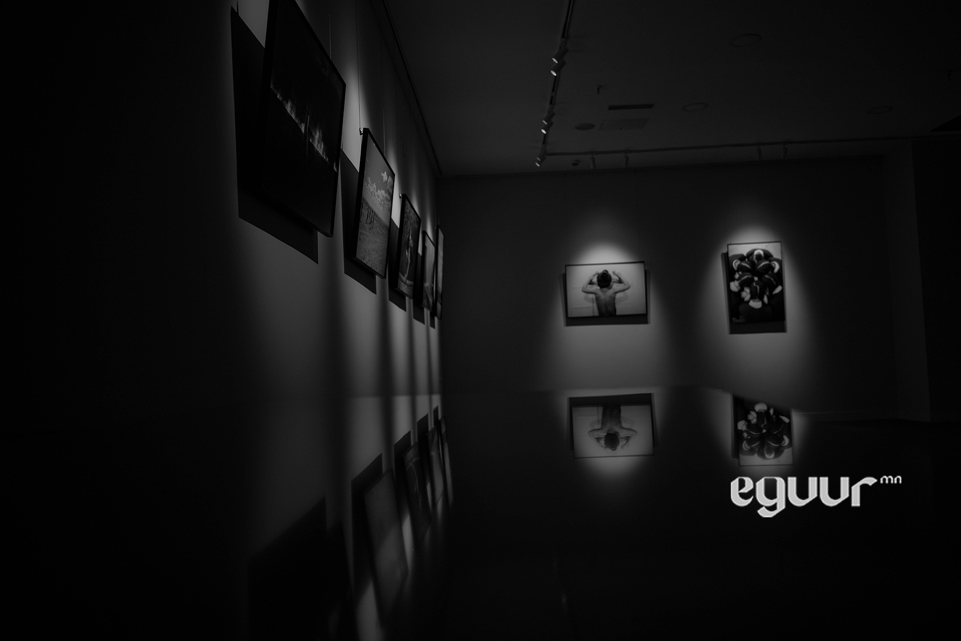 Фото: "Төгөл" хамтарсан үзэсгэлэн - Eguur.MN