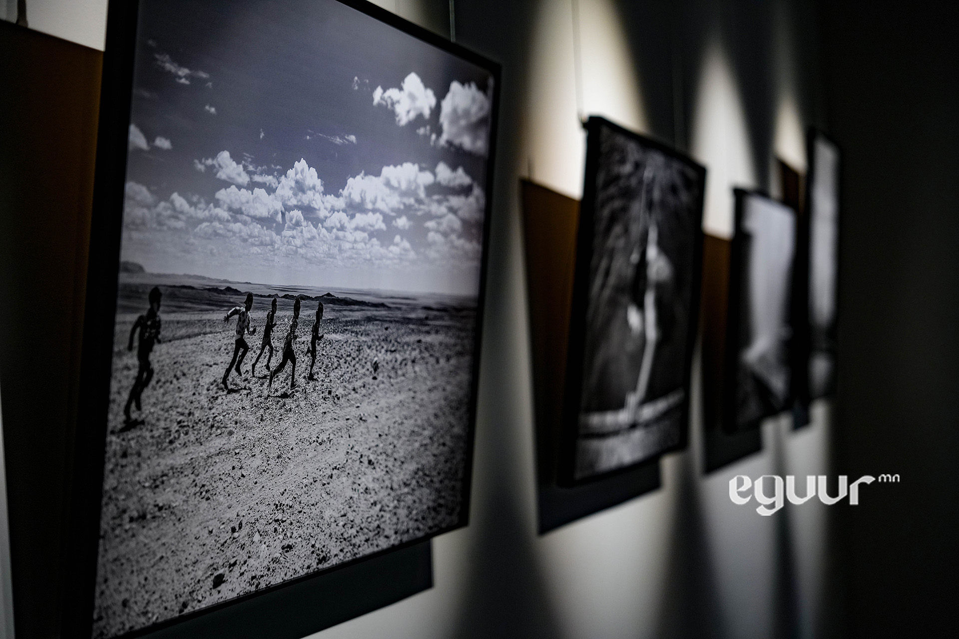 Фото: "Төгөл" хамтарсан үзэсгэлэн - Eguur.MN