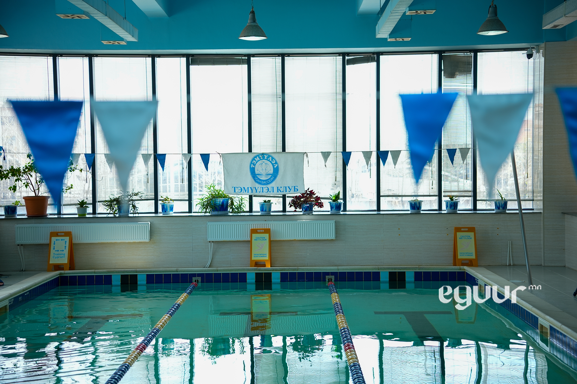 14 жилийн туршлагатай А.Тэнгис багш: Хүүхдийг голд сэлүүлж сургах ...