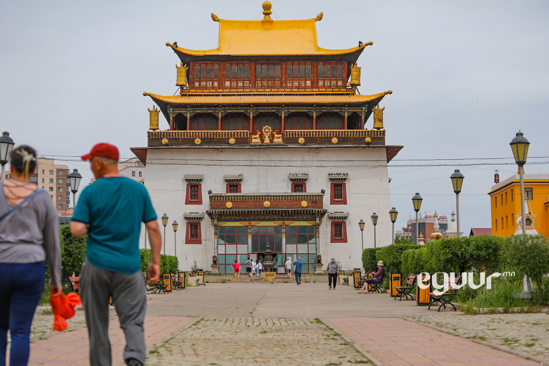 Үс засуулбал оюун билиг хурц болно - Eguur.MN