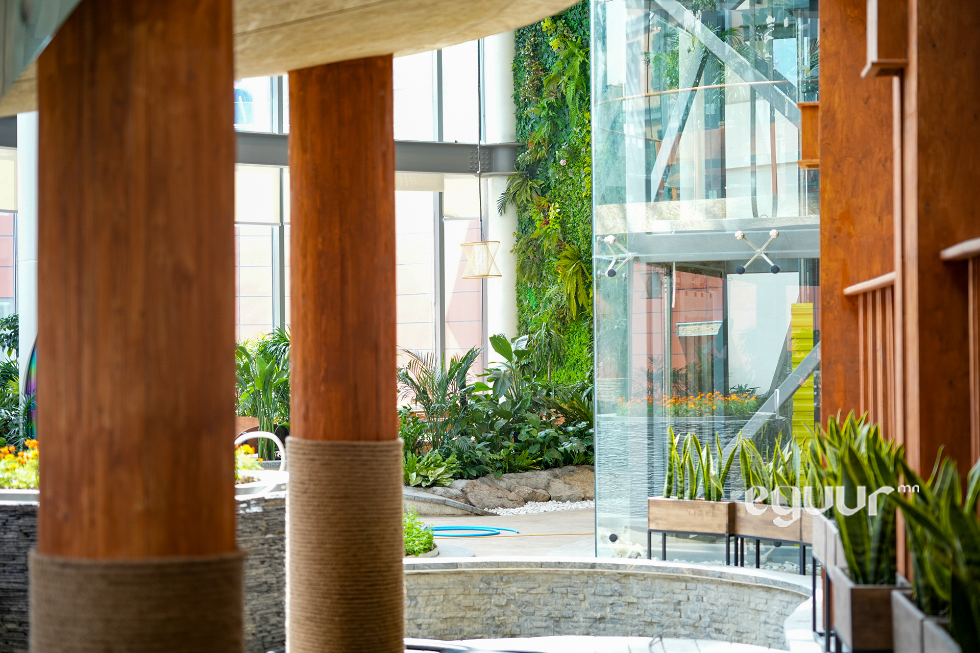 "Жилийн дөрвөн улиралд ногоон байх Winter Garden цэцэрлэгийг орон ...