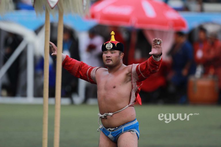 М Бадарчийн арслан цолны мялаалга наадам өнөөдөр болж байна Eguur Mn