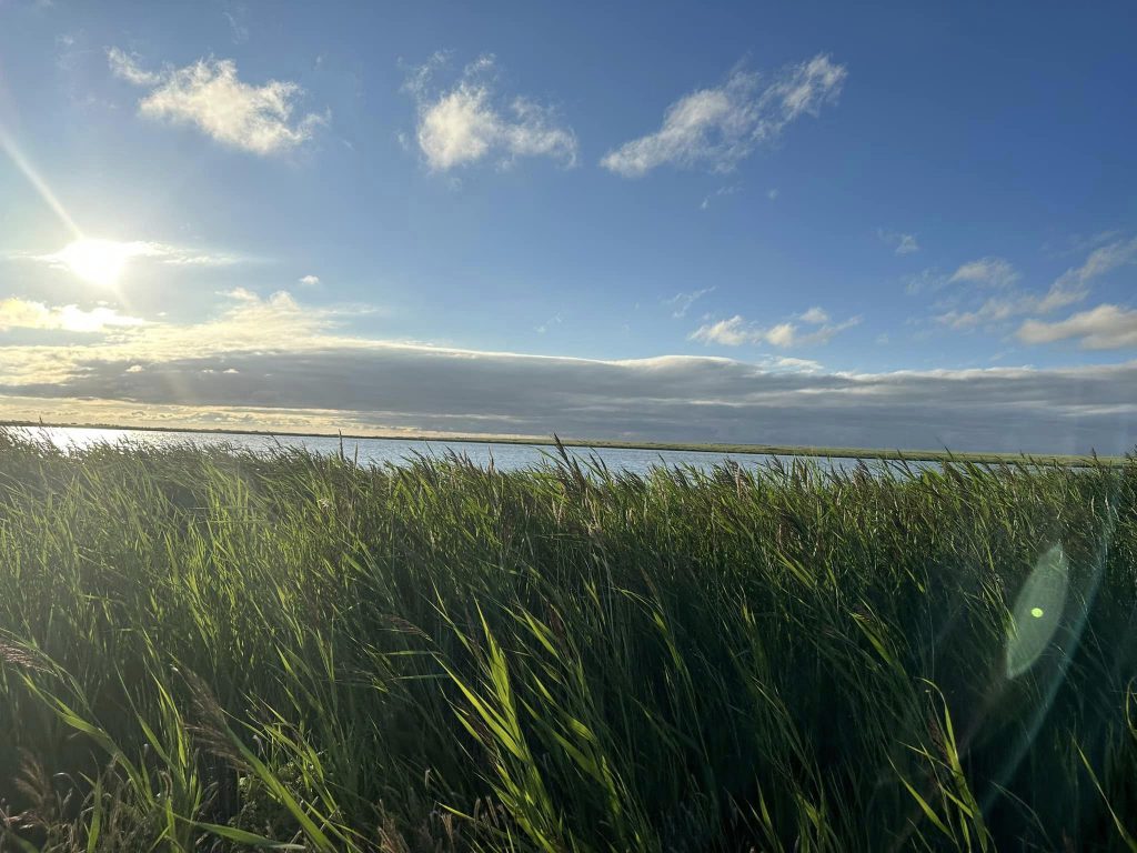 Ганга нуурыг хамгаалах II шатны ажлыг эхлүүлжээ - Eguur.MN