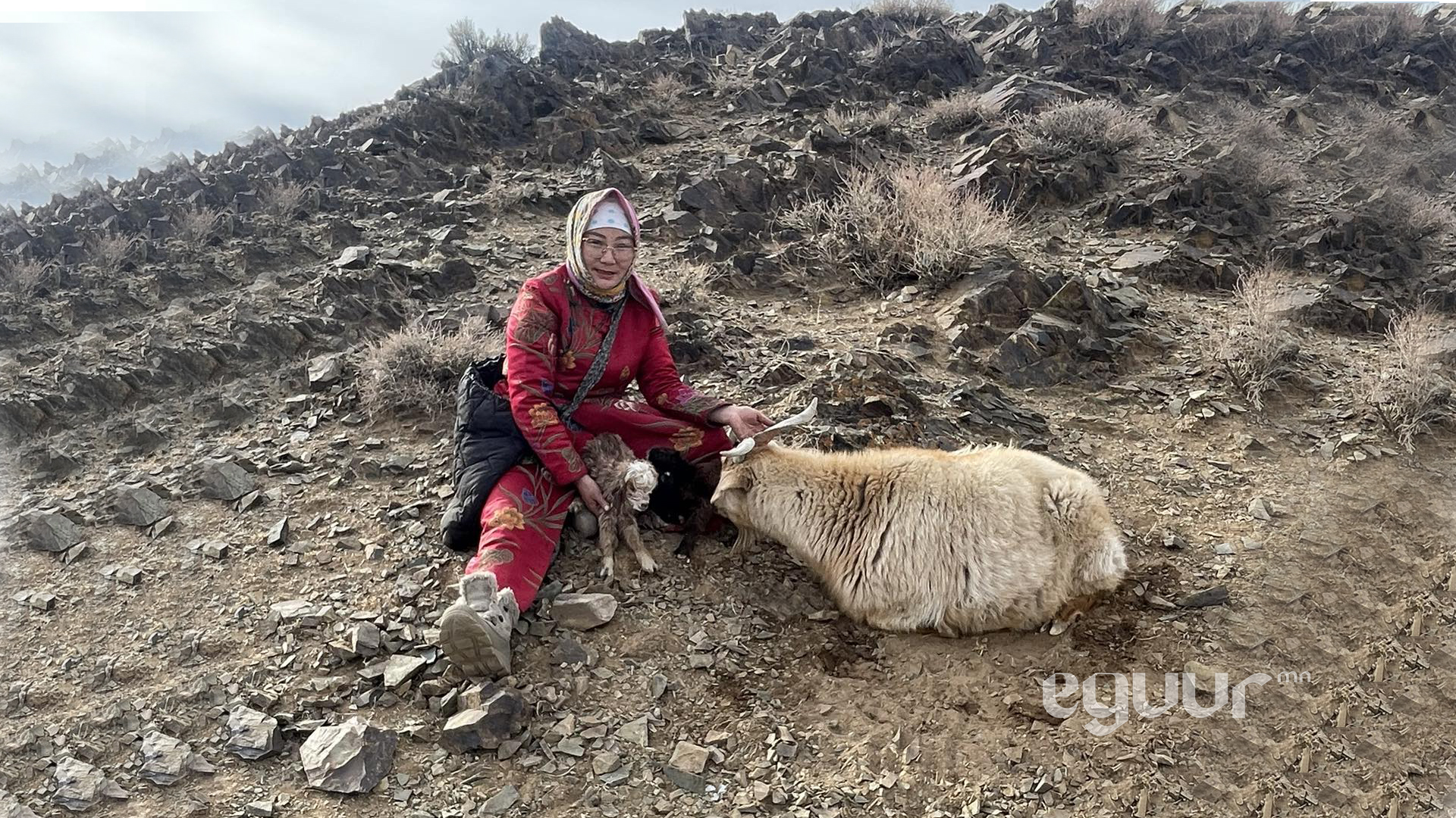 Т.Орхонтуул: 66 ямаанаас минь 15 нь ихэрлэлээ - Eguur.MN