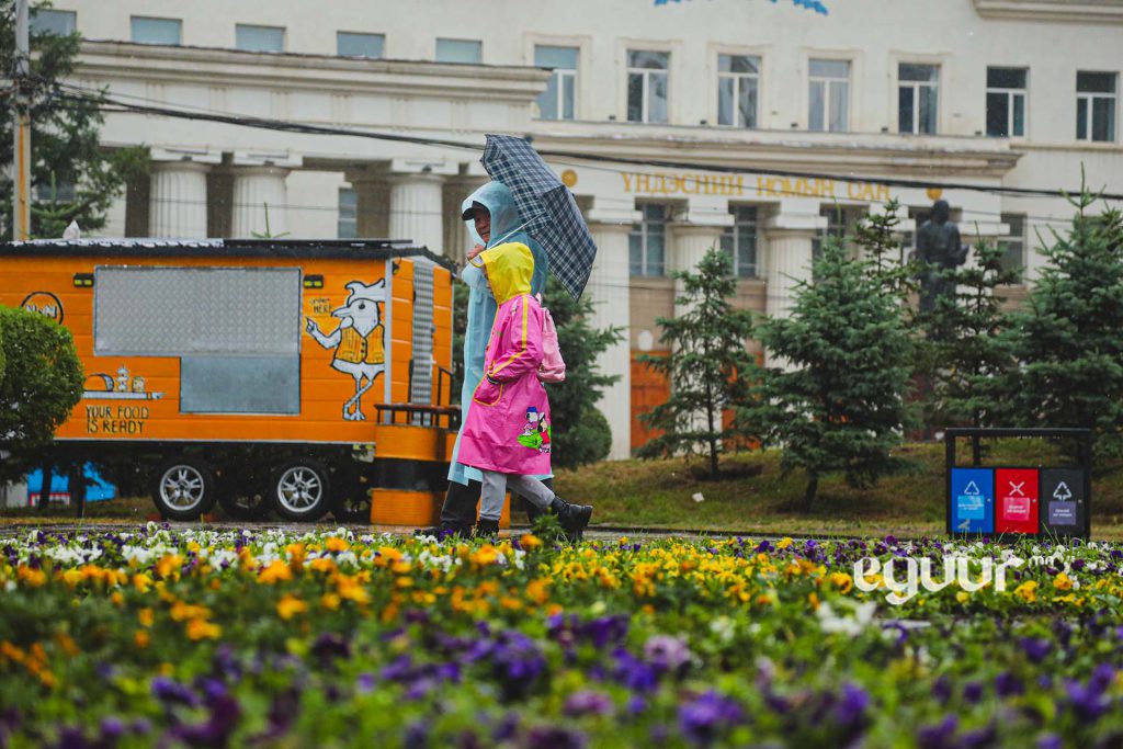 Ногоон байгууламжийн нэг га талбайн арчилгааны үнэ 150 сая төгрөг - Eguur.MN