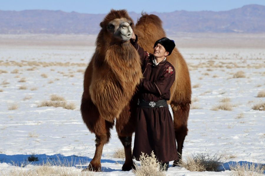 Богд сум гурав дахь удаагаа “Мөнгөн буйл”-ын шагнал хүртлээ - Eguur.MN