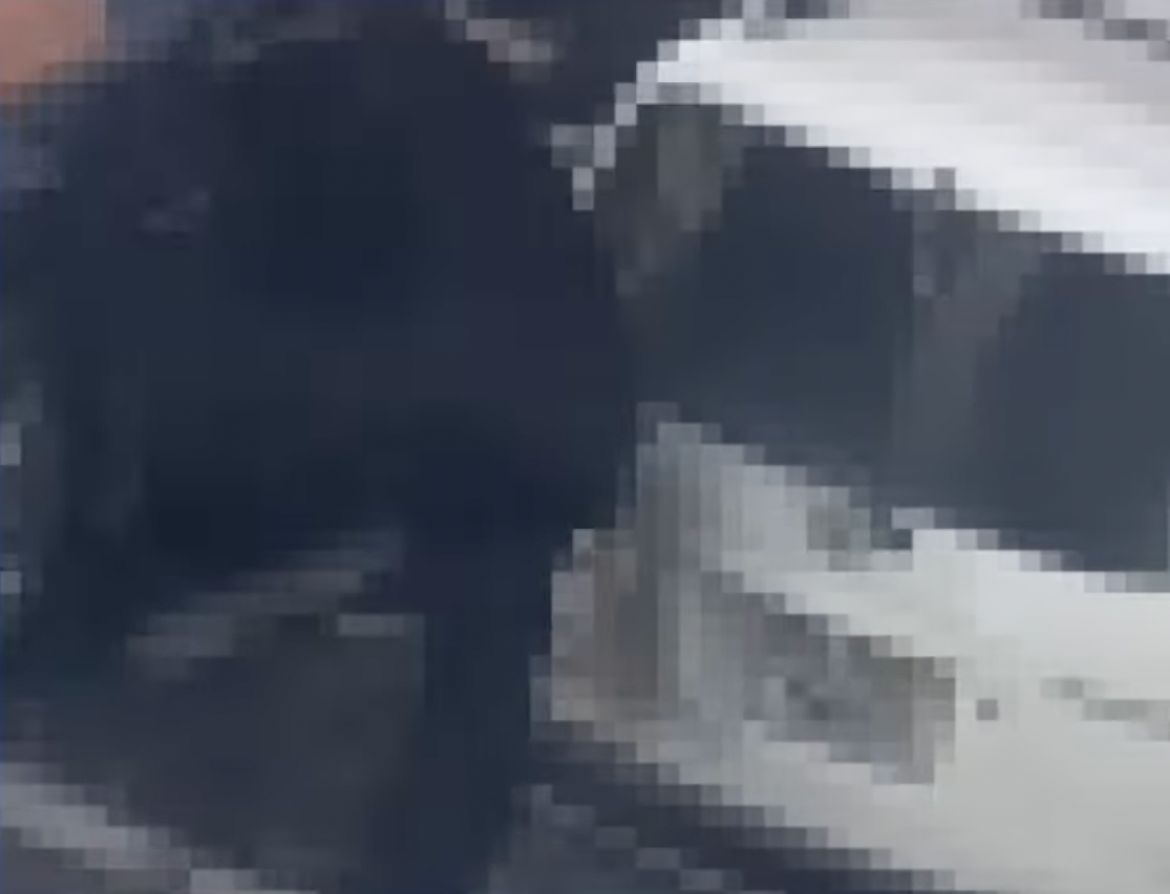 Олон нийтийн газар бие зассан этгээдийг ₮200 мянгаар торгожээ - Eguur.MN