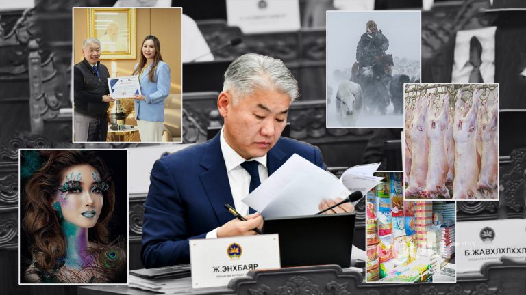 Танилц: Монголчуудын эдэлж хэрэглэдэг байсан 200 гаруй нэр төрлийн МАЛГАЙ - Eguur.MN