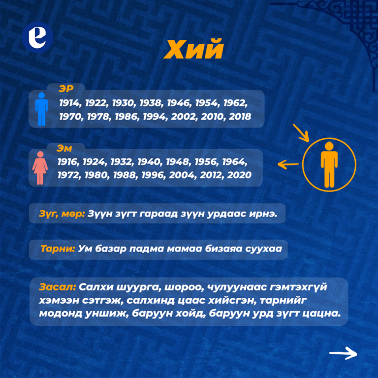 Танилц: Могой жилийн суудлын засал ба зүг мөр гаргах заавар - Eguur.MN