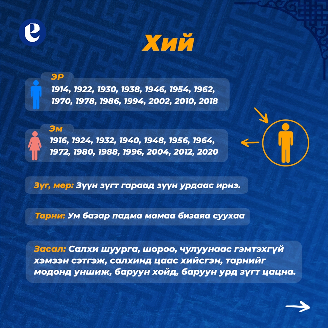 Танилц: Могой жилийн суудлын засал ба зүг мөр гаргах заавар - Eguur.MN
