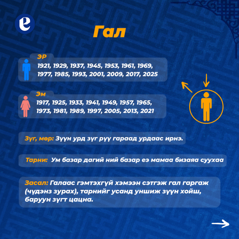 Танилц: Могой жилийн суудлын засал ба зүг мөр гаргах заавар - Eguur.MN