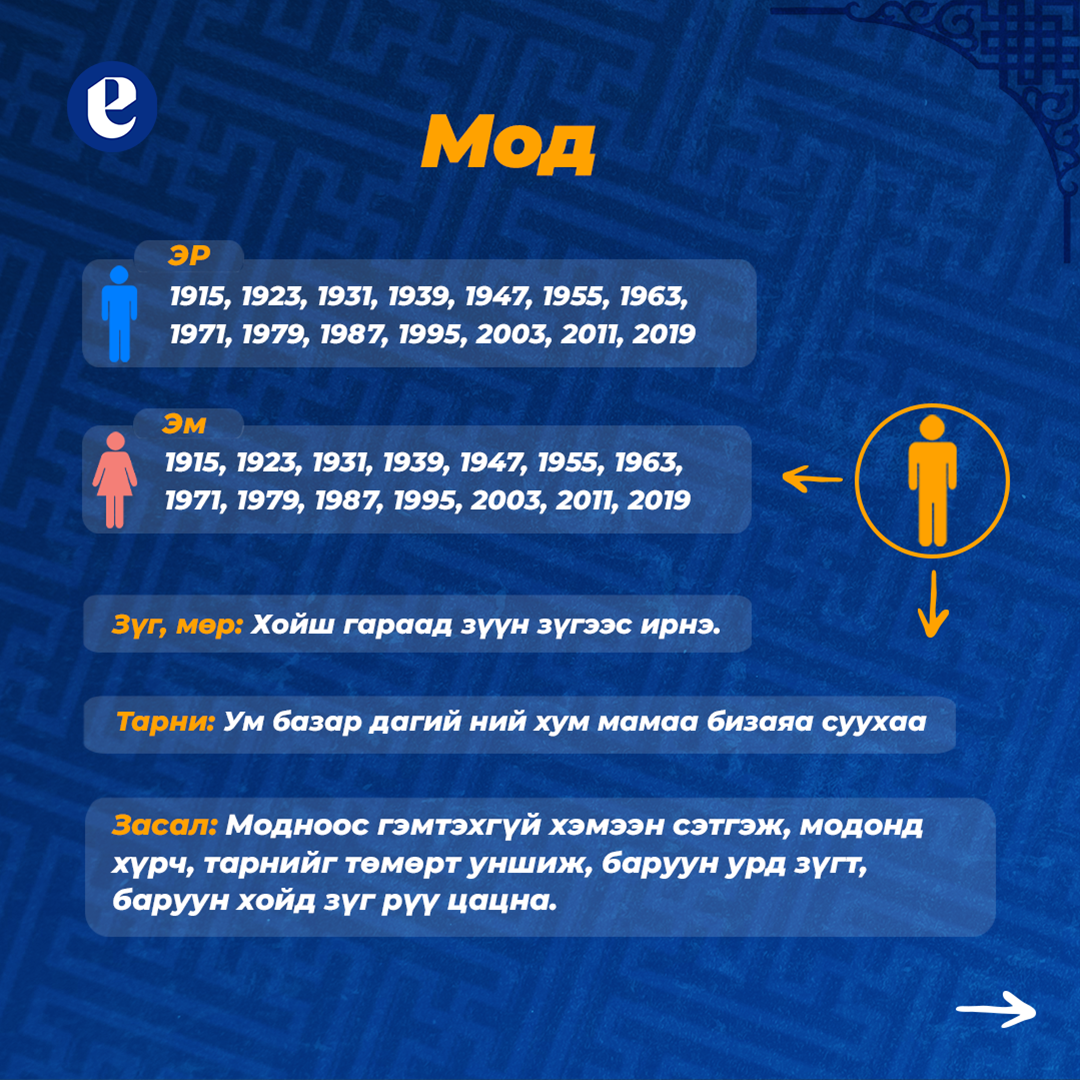 Танилц: Могой жилийн суудлын засал ба зүг мөр гаргах заавар - Eguur.MN