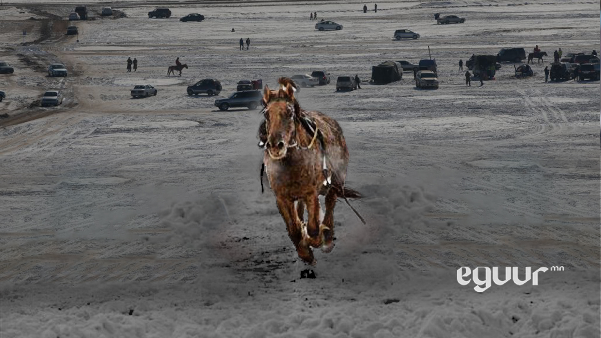 Унаачгүй уралдааны морь барианд ирэх эрсдэл буюу хүүхдийн эрх - Eguur.MN